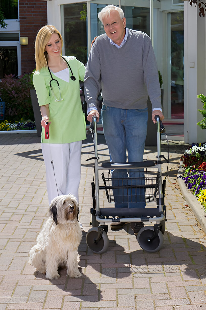 Everything You Need to Know About Dog Walking Insurance for Your ...